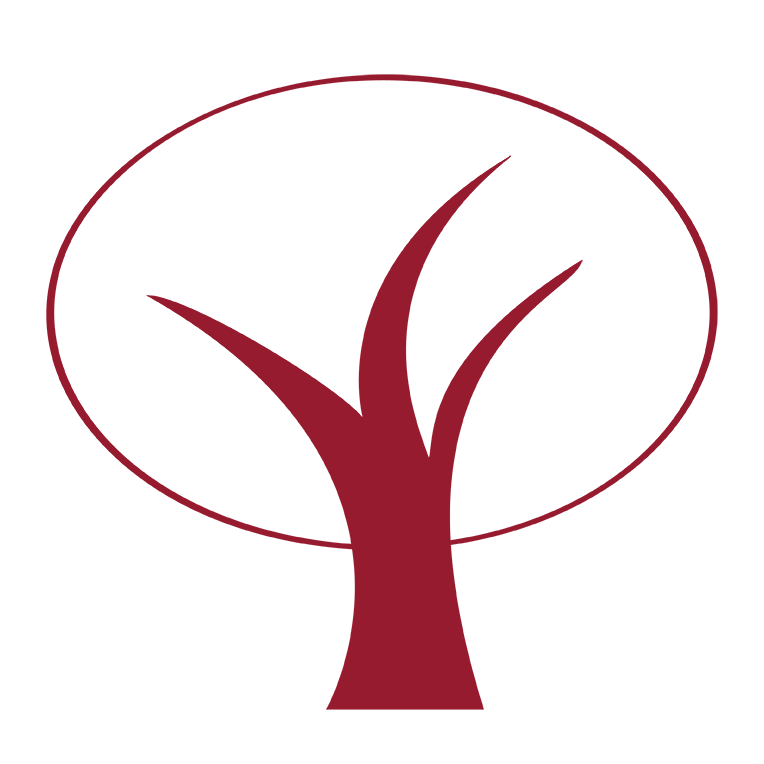 Redtree Studio – Media27